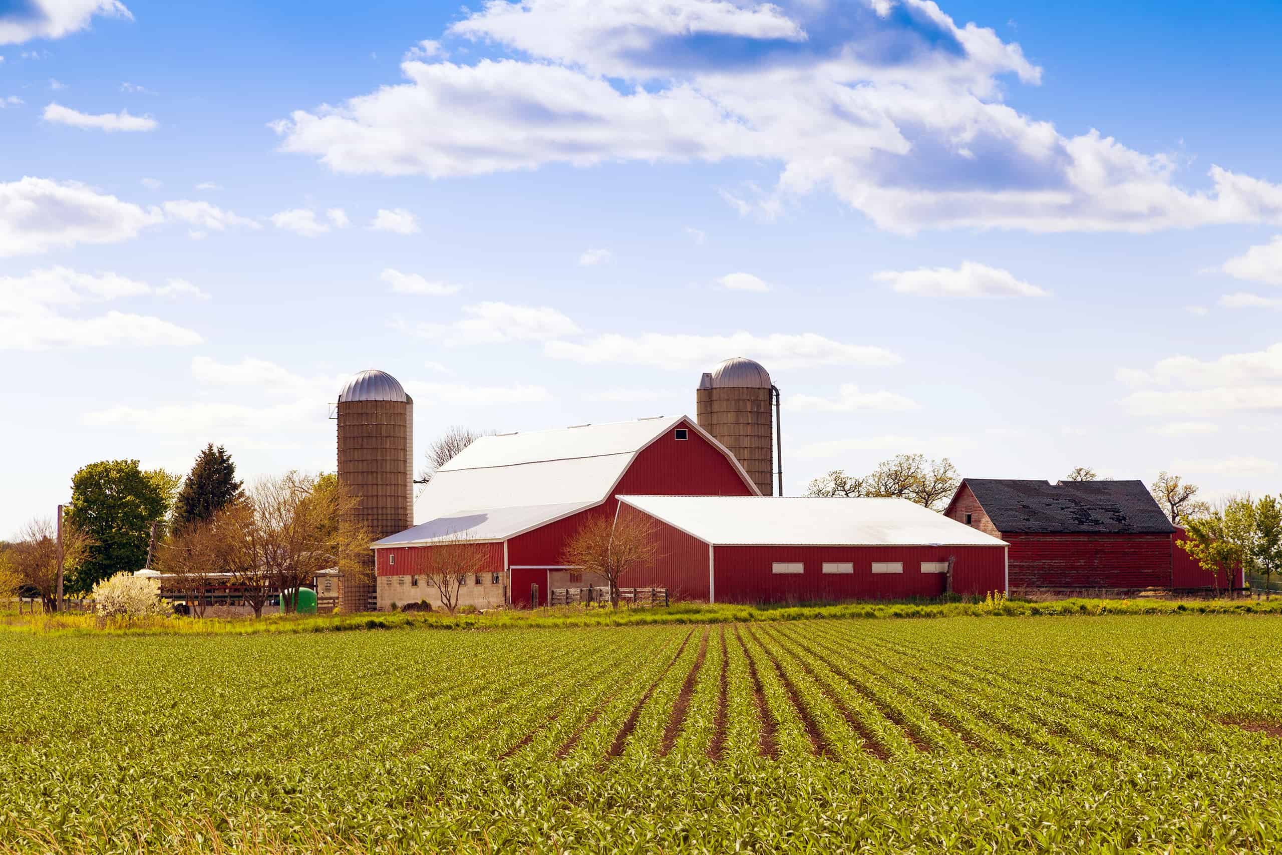 5 Impressive Saskatchewan Farming Facts Sheppard Realty